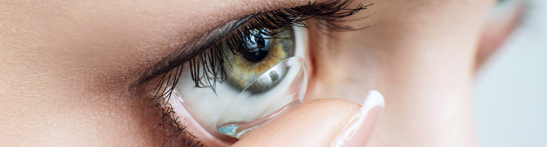 Lentilles de contact - Meschenmoser